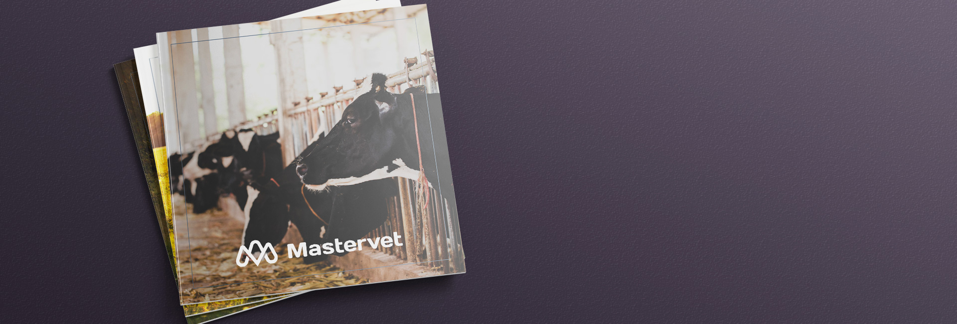 Home Shop 1 - Mastervet